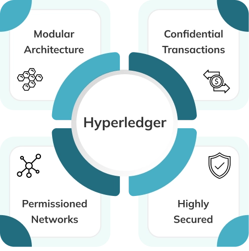 Hyperledger Development Company | Rain Infotech